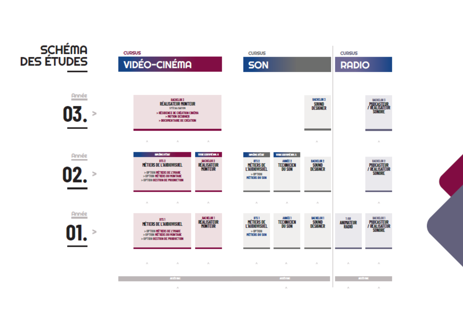 Schéma des études - ACFA Multimédia